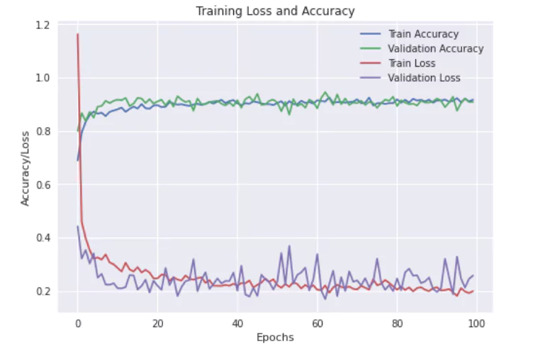 ML Beginner's Guide to Build Car Damage Detection AI Model